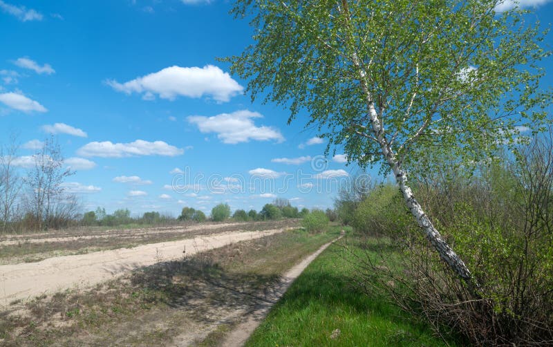 Summer day landscape stock image. Image of beautiful - 225571563