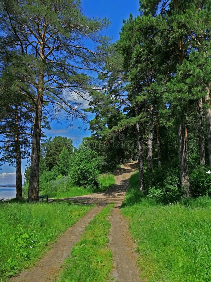 Summer Landscape, Road Going Uphill through the Forest Stock Photo ...