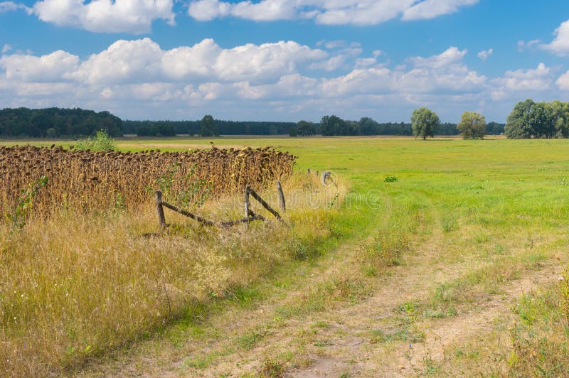 Summer Landscape in Rural Area, Central Ukraine Stock Image - Image of ...