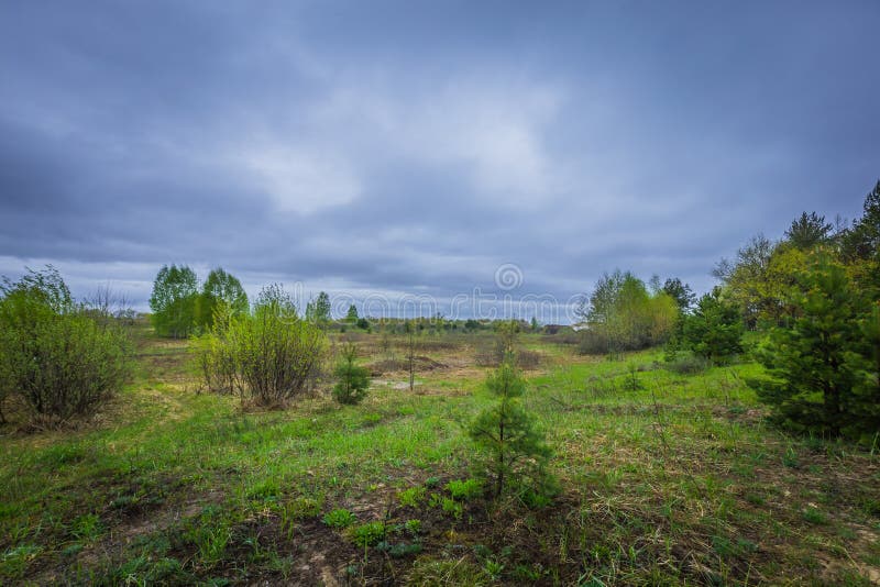 Summer Landscape in Rural Areas Stock Image - Image of meadow ...