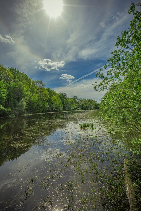 Summer Landscape in Rural Areas Stock Image - Image of blue, morning ...