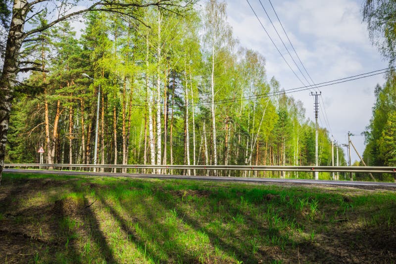 Summer Landscape in Rural Areas Stock Photo - Image of nature, tree ...
