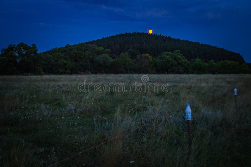 Summer Landscape in Rural Areas Stock Image - Image of panorama, crop ...