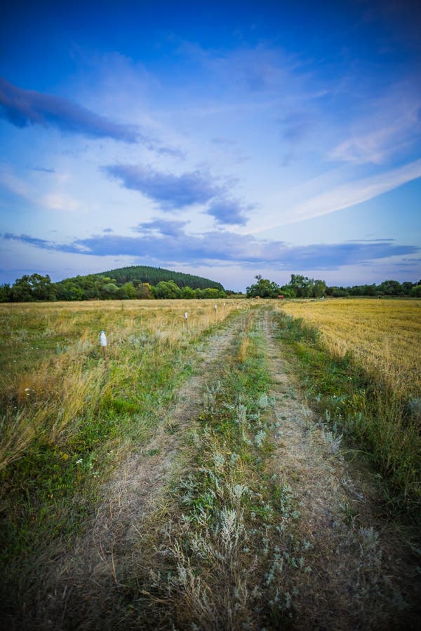 Summer Landscape in Rural Areas Stock Image - Image of roof, scenery ...