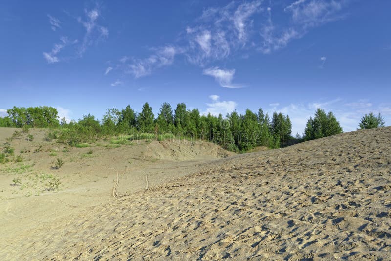 Summer Landscape with Sand Dunes Forest and Blue Sky Stock Photo ...