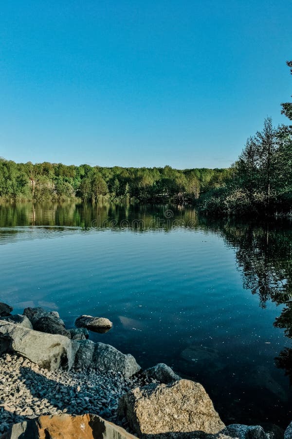 Summer Landscape on the Shore of a Pond in the Setting Sun Stock Photo ...