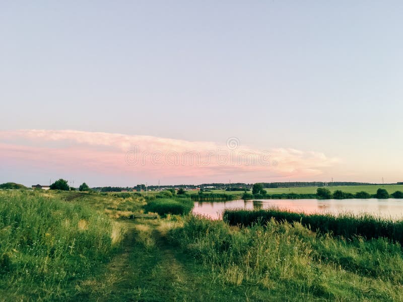 Summer Landscape on the Shore of a Pond in the Setting Sun Stock Photo ...