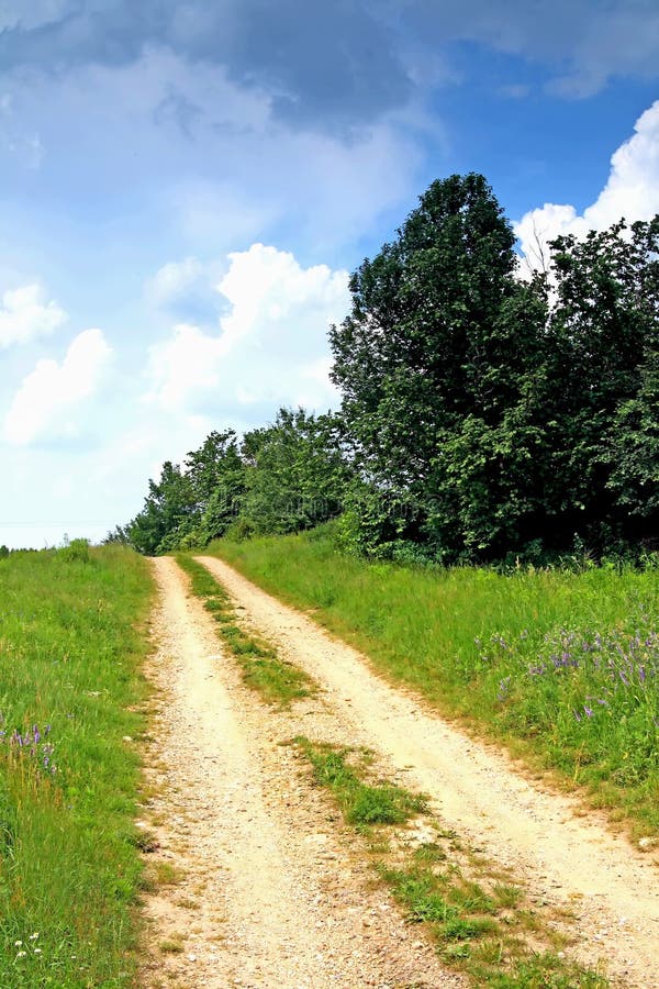 Summer Landscape of Single Road and Trees Stock Photo - Image of lonely ...