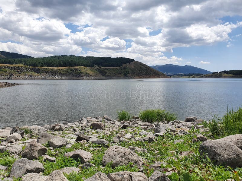 Summer Landscape with Small Lake in Forest. - Background Stock Image ...