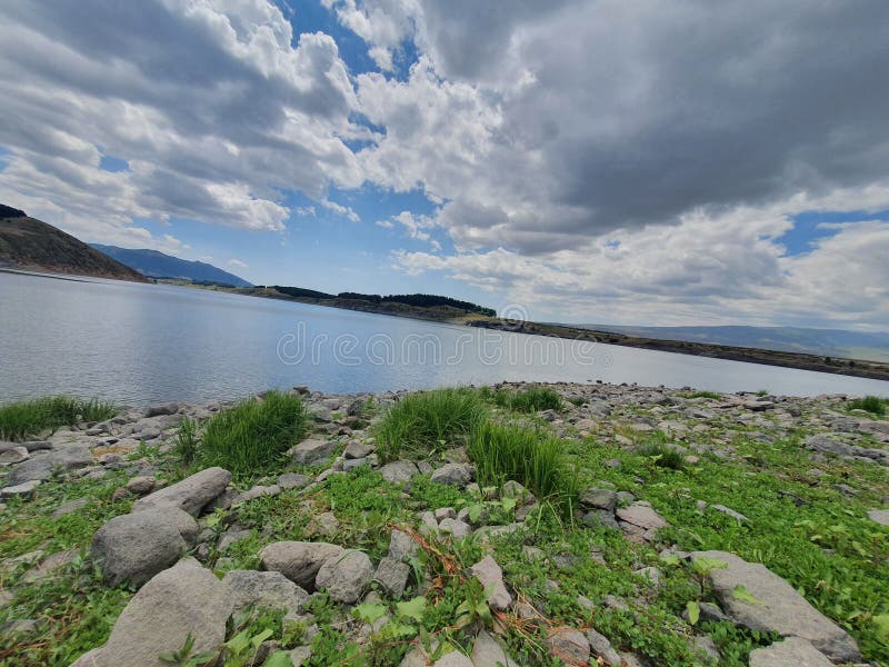 Summer Landscape with Small Lake in Forest. - Background Stock Image ...
