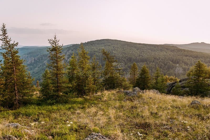 Summer Landscape with Soft Sunlight at Sunset Stock Image - Image of ...