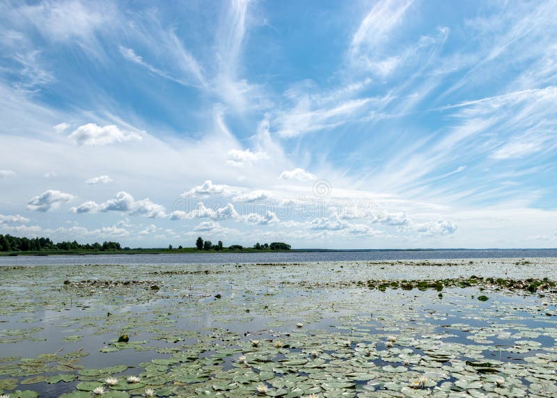 Summer Landscape with the Source of the River from the Lake, Beautiful ...