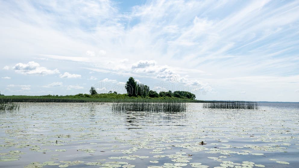 Summer Landscape with the Source of the River from the Lake, Beautiful ...