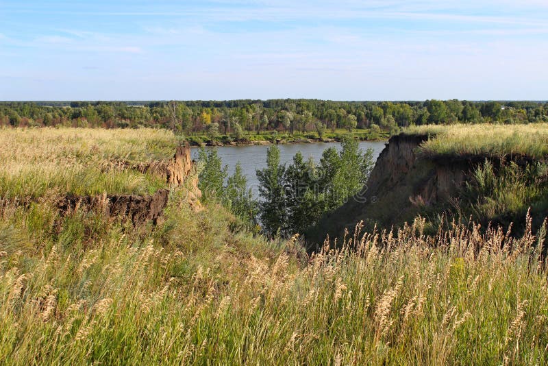 Summer Landscape. Steep River Bank with a Ravine Stock Image - Image of ...