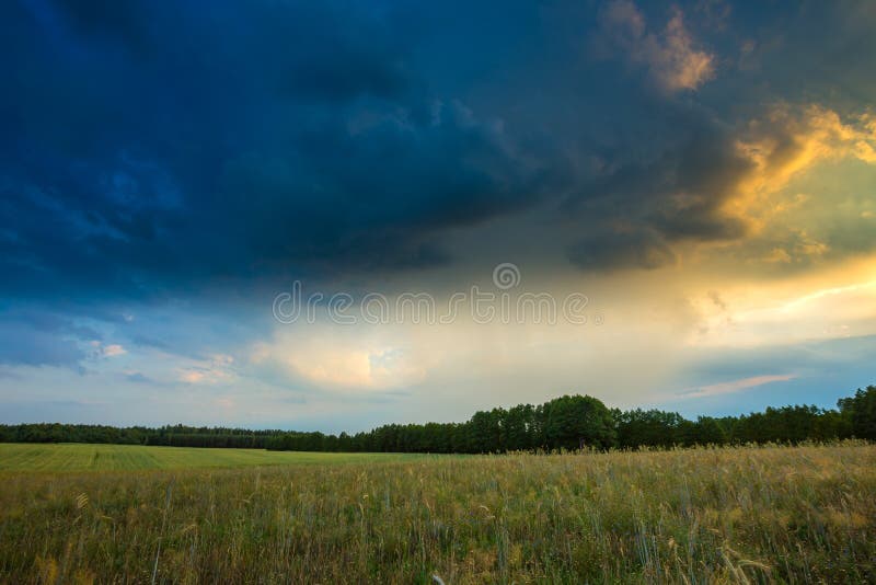 Summer Landscape with Stormy Sky Over Fields Stock Image - Image of ...