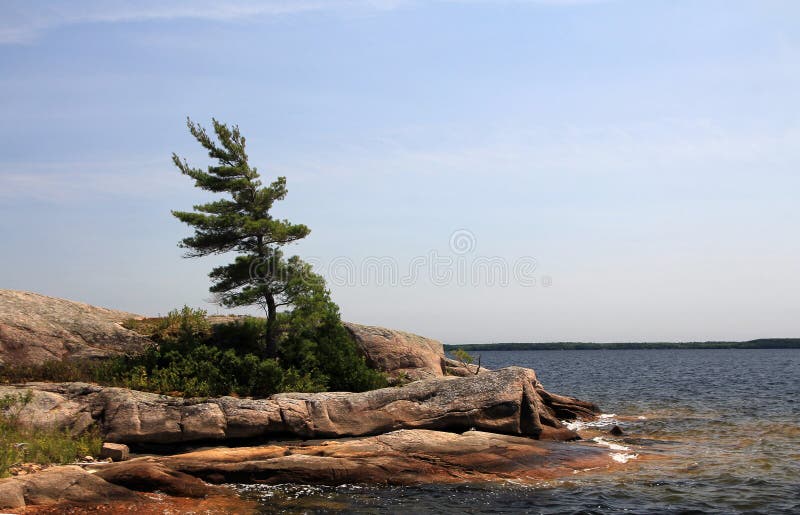 Summer Landscape stock image. Image of nature, lake - 251286189
