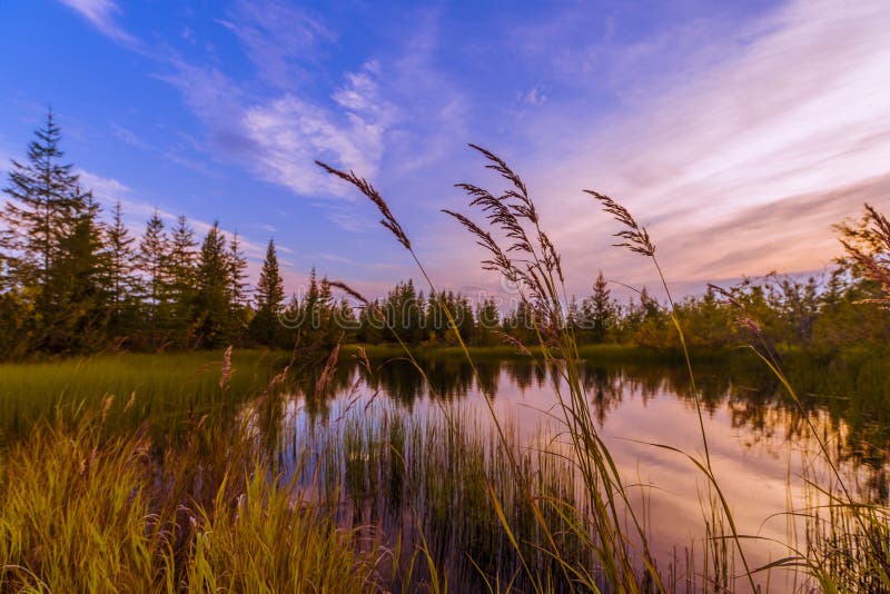 Summer Landscape at Sunset and River. Sunset on the River. Stock Photo ...