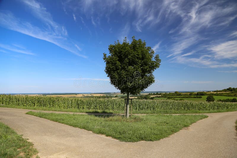 Summer Landscape with a Tree in the Center Stock Image - Image of land ...