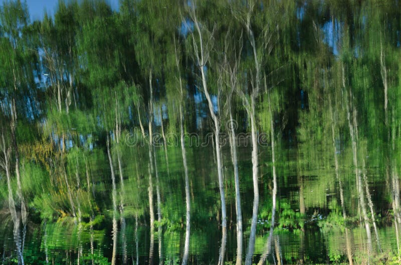 Summer Landscape with Trees Reflection in Lake Stock Image - Image of ...
