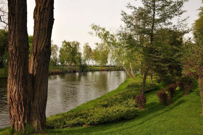 Summer Landscape, Trees, River and Park Lawns Stock Image - Image of ...