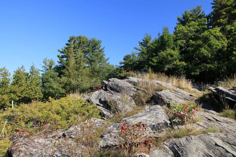 Summer landscape stock image. Image of grass, rocks - 338985511