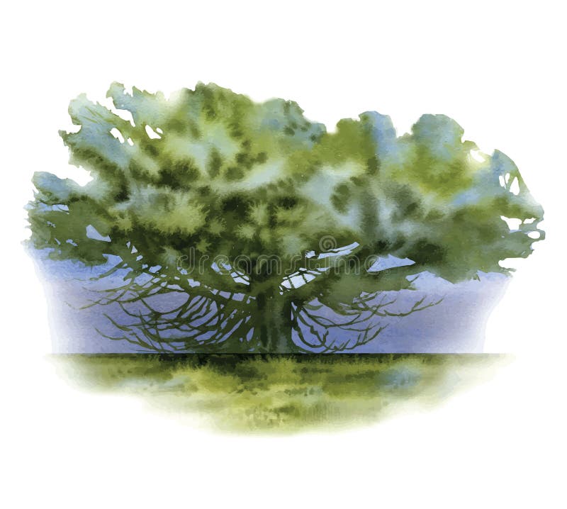 Summer landscape. stock vector. Illustration of graphic - 59728107