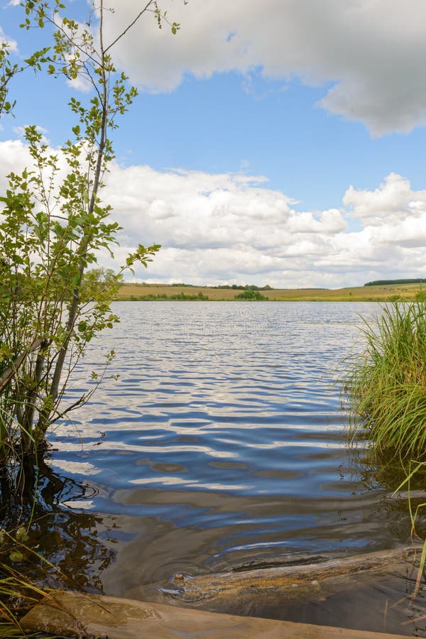Summer Landscape with a View of the Lake Stock Image - Image of season ...