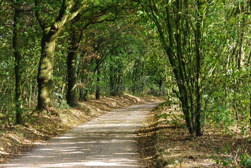 Summer Lane stock image. Image of clouds, america, empty - 30974445