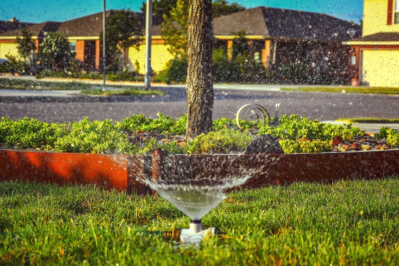 Summer Lawn stock image. Image of neighborhood, garden - 58092853 Summer Lawn stock image. Image of neighborhood, garden - 58092853