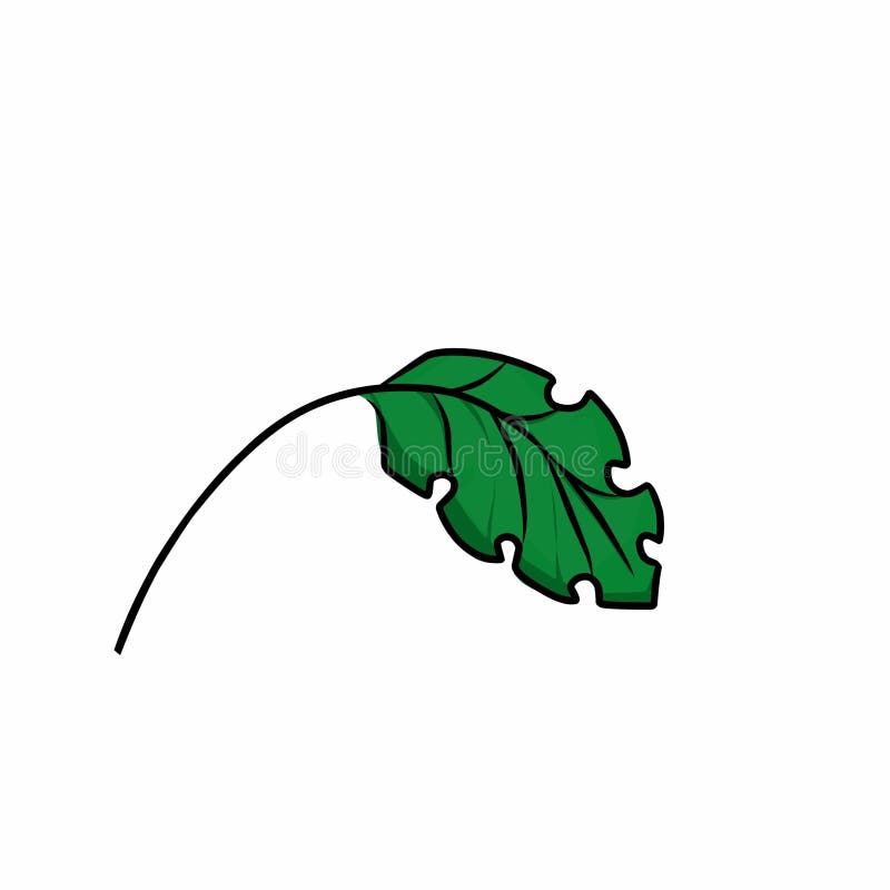 Summer Leaf Illustration For Your Design Stock Image Illustration Of