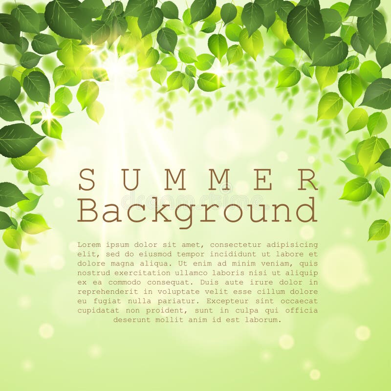 Summer leaves background stock illustration. Illustration of ecology ...
