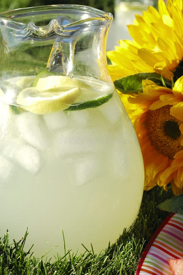 Summer Lemonade stock photo. Image of afternoon, grassy - 2109554
