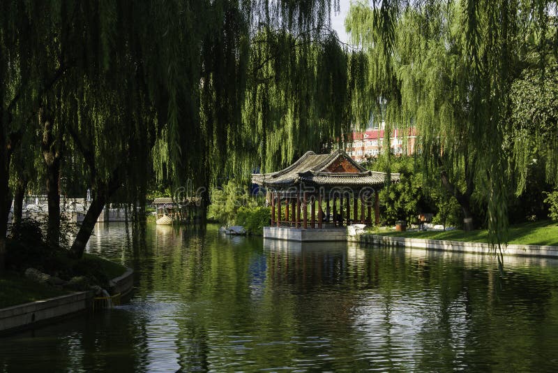 Summer in Beijing Longtan Park Stock Photo - Image of reflection, asia ...