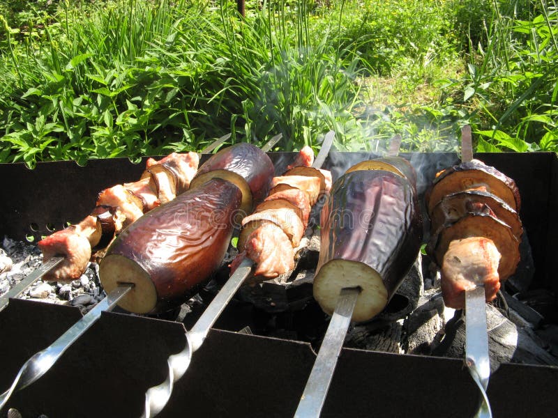 Summer lunch stock photo. Image of grill, grass, summer - 40671306