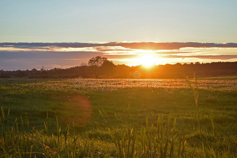 Summer Meadow with Flowers and Evening Sky Stock Photo - Image of ...