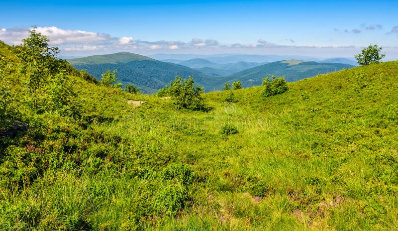 Summer Meadow on Hillside of Mountain Range Stock Photo - Image of ...