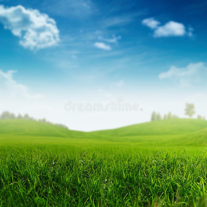 Summer Meadow Under Bright Sunlight, Abstract Seasonal Backgrounds ...