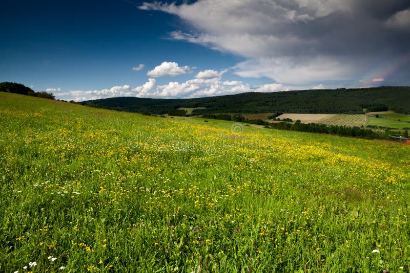 Summer meadows before rain stock photo. Image of rural - 25990196