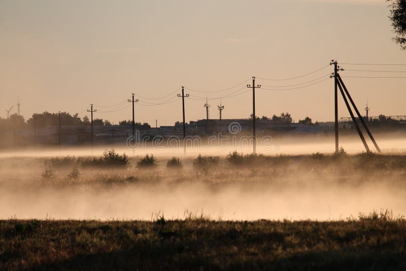 Summer mist stock photo. Image of foliage, area, ground - 58223640