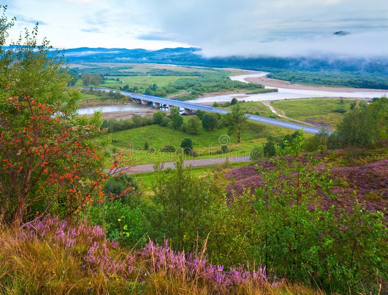 Summer Misty Morning Country View. Stock Photo - Image of tranquil ...
