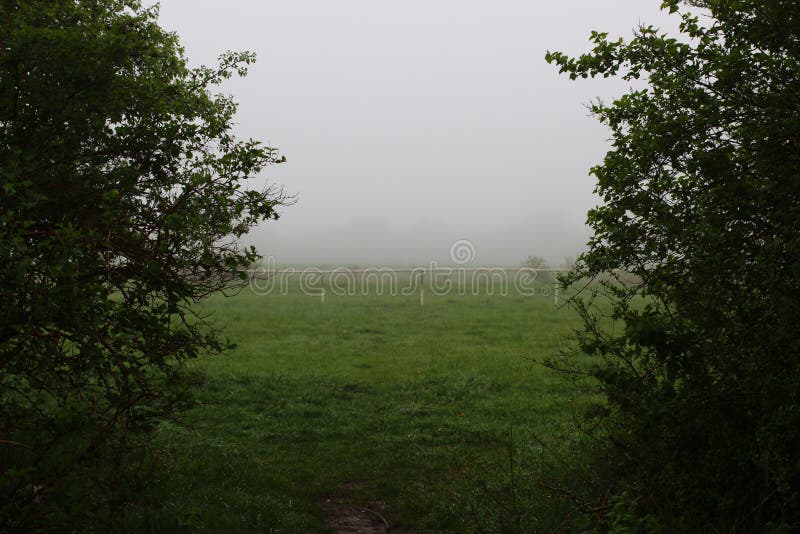 Summer Misty Morning Place for Text Cope Space Stock Image - Image of ...