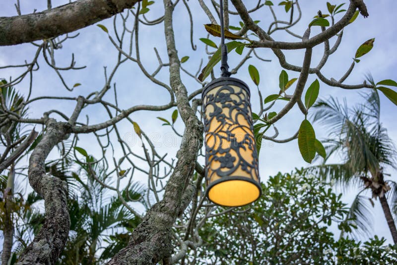 Yellow Lantern on Tree with Blue Sky Background Stock Photo - Image of ...