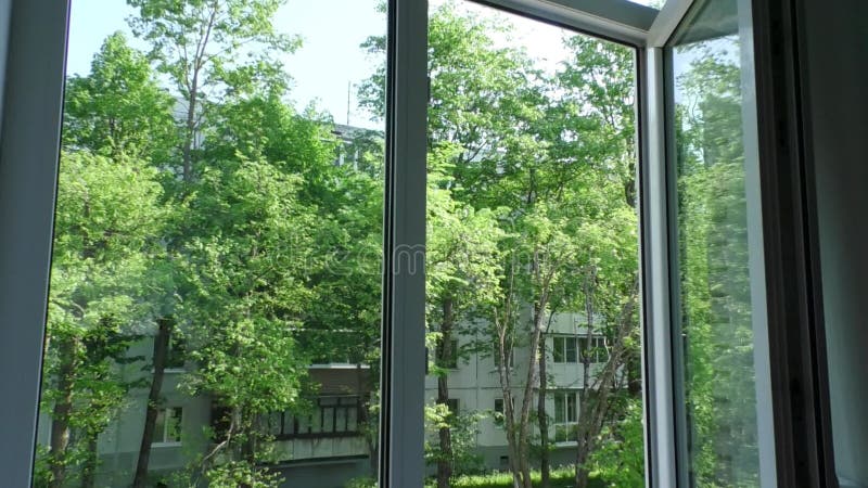 View from an Open Window from a Height on a Green Landscape Courtyard ...