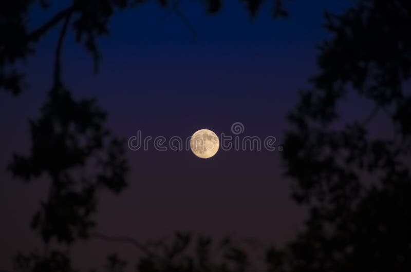 Summer moon stock image. Image of spain, light, moon - 124459849
