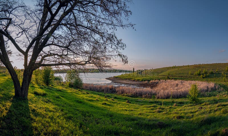 Summer moring among fields stock image. Image of tree - 210449561