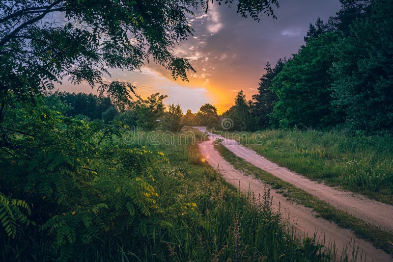 Summer moring among fields stock image. Image of woods - 210456757