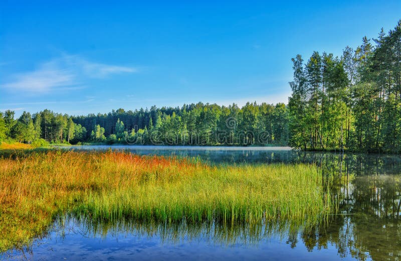 Summer morning stock photo. Image of peace, colors, haze - 100610220