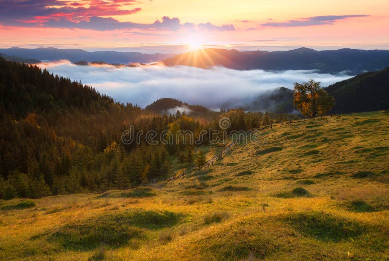 Summer morning mountains stock image. Image of hill, sunny - 84430705