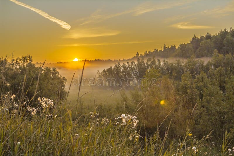 Summer Morning. stock image. Image of outdoor, blue, summer - 48918187