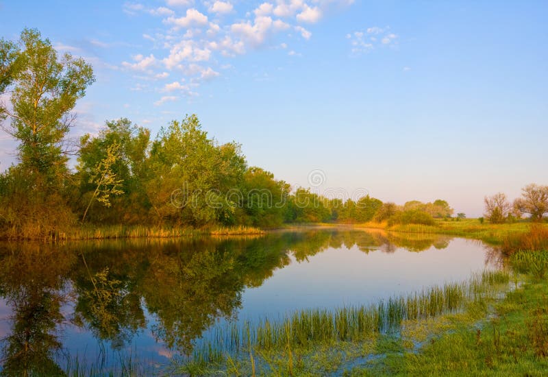 Summer morning on river stock photo. Image of cane, daybreak - 10571250